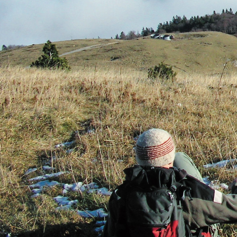 la libellule - excursions nature