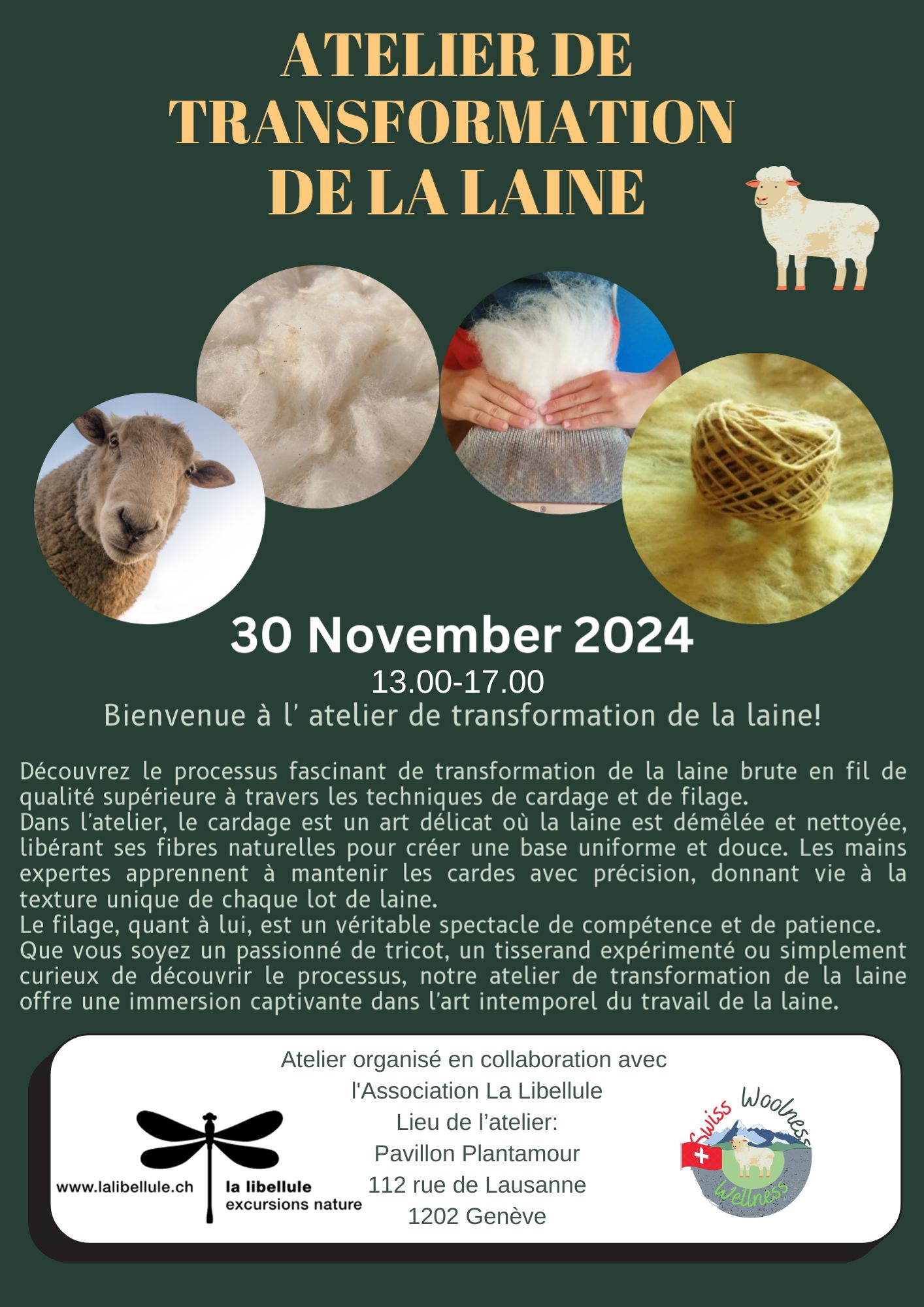 Transformation de la laine - la libellule